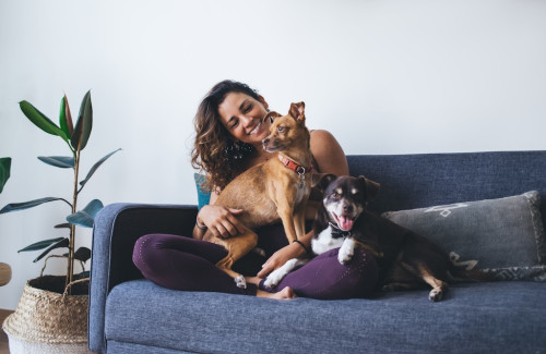 Best ac filter for allergies and pets store